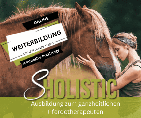 Shop – Sandra Heider – Praxis für Osteopathie, Physiotherapie und ...